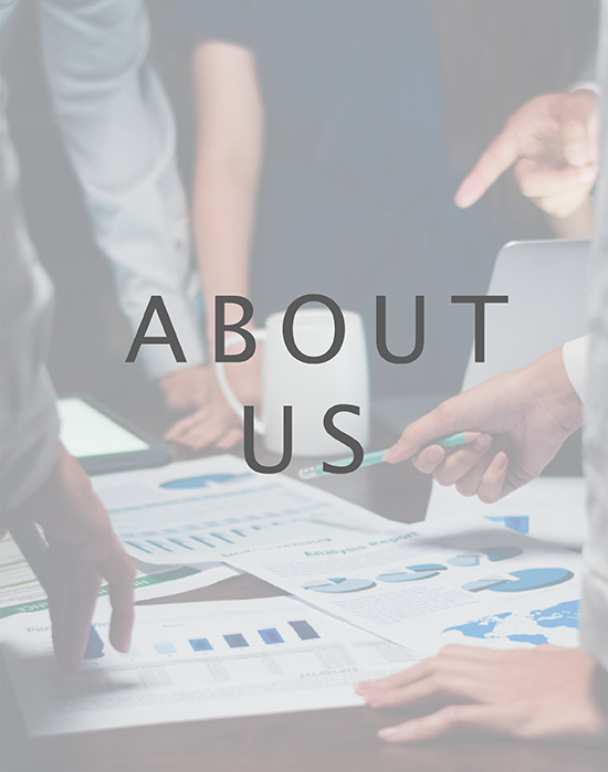 Whats New IT - About Us